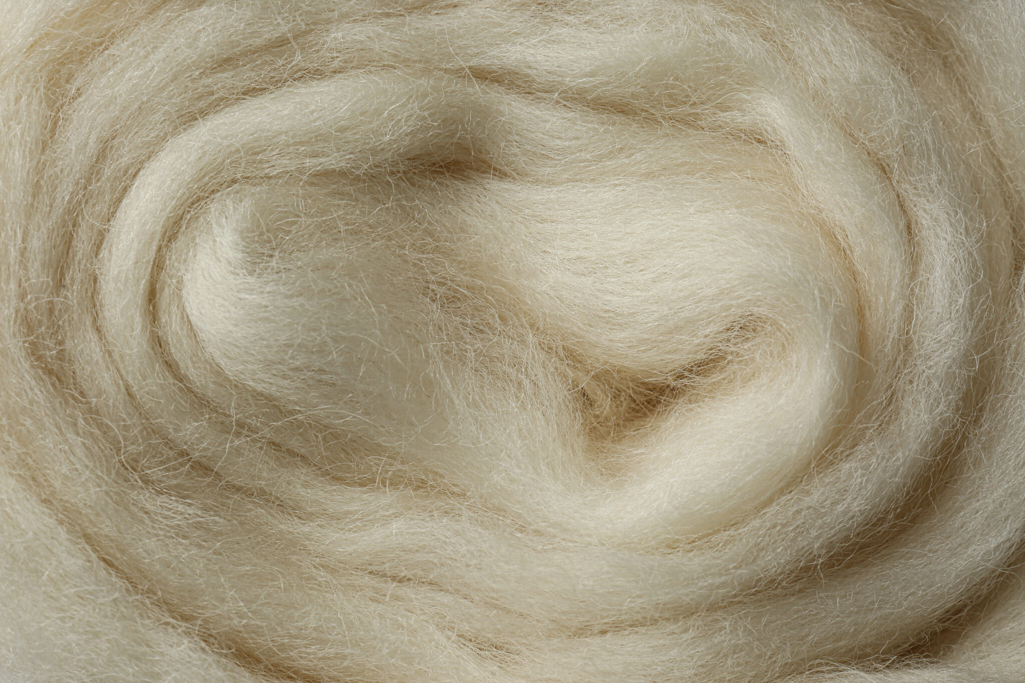 About Us – Worsted Spinning New England